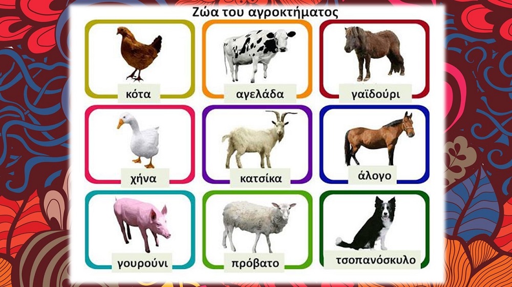 Τα Προνήπια συναντούν τα Ζώα του Αγροκτήματος - Εκπαιδευτήρια Ν ...
